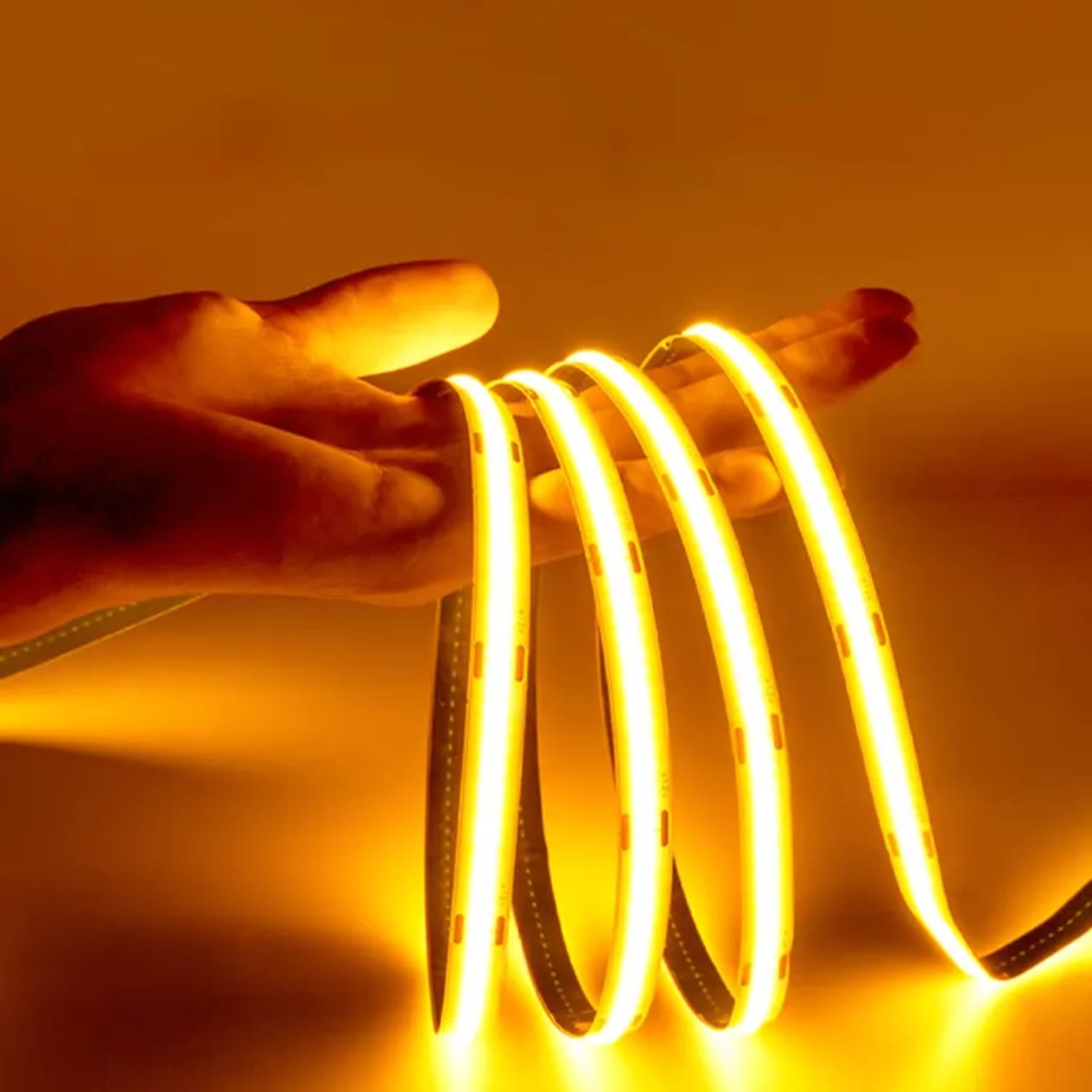 Waterproof COB Strip Light DC-24V (10 Meter Role) – Electra Lights